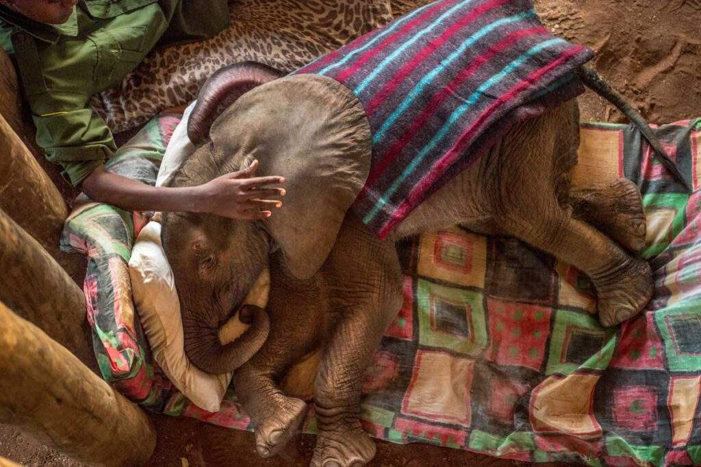 Ami Vitale | The Los Angeles Center of Photography