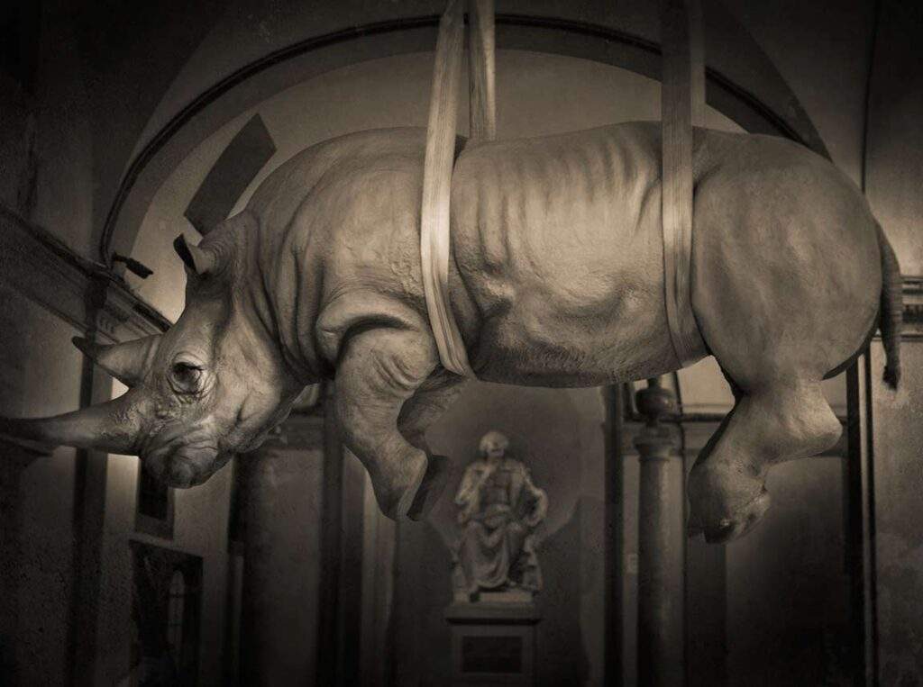 Keith Carter | The Los Angeles Center of Photography