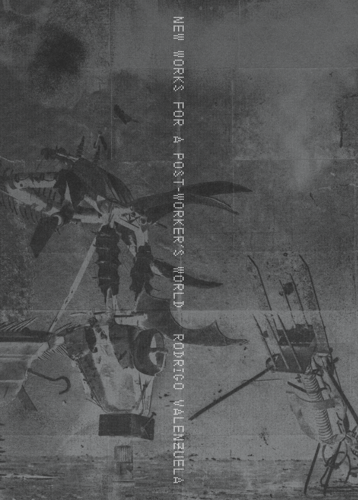 Book Talk: Rodrigo Valenzuela and Max Cleary, In Conversation with ...