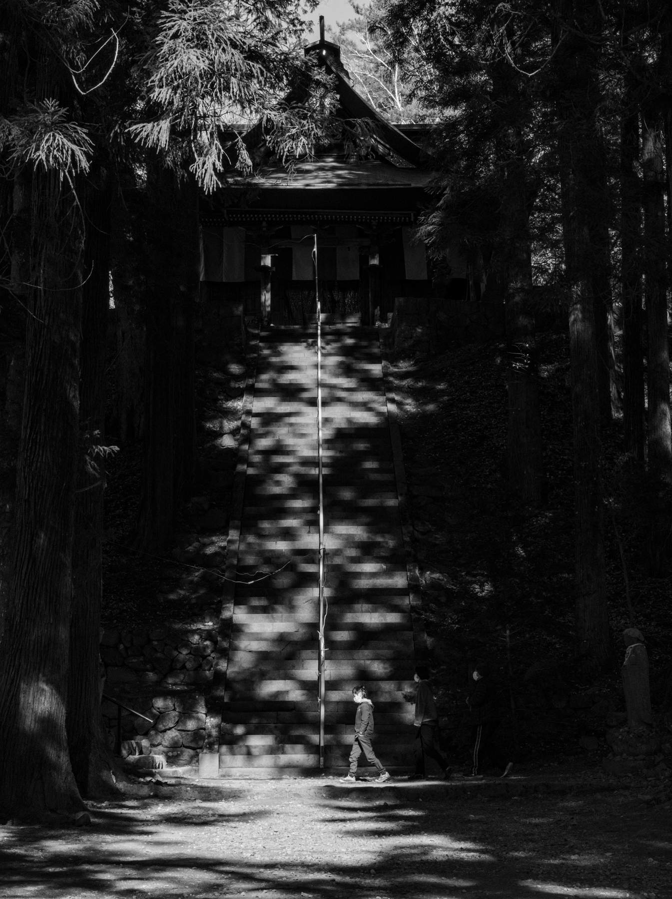 Sun Scapes and Shadow Gardens: A Photographic Workshop in Japanese ...