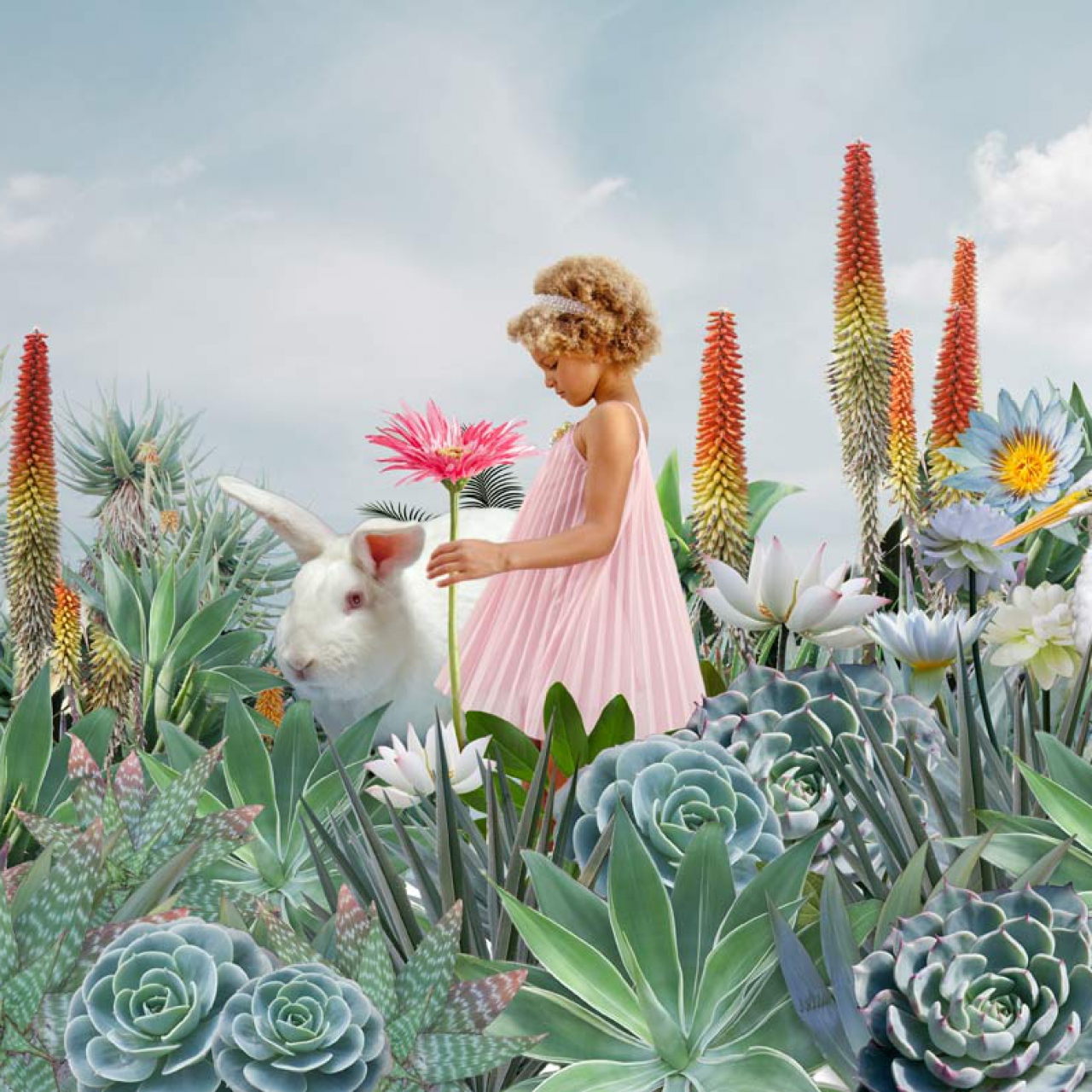 Ann Elliott Cutting - The Los Angeles Center of Photography