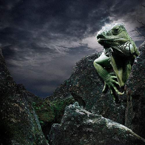 Members' Gallery - The Los Angeles Center of Photography