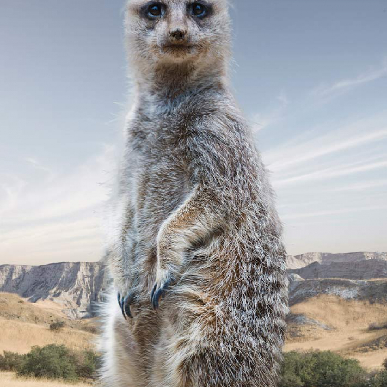 Ed Freeman - The Los Angeles Center of Photography