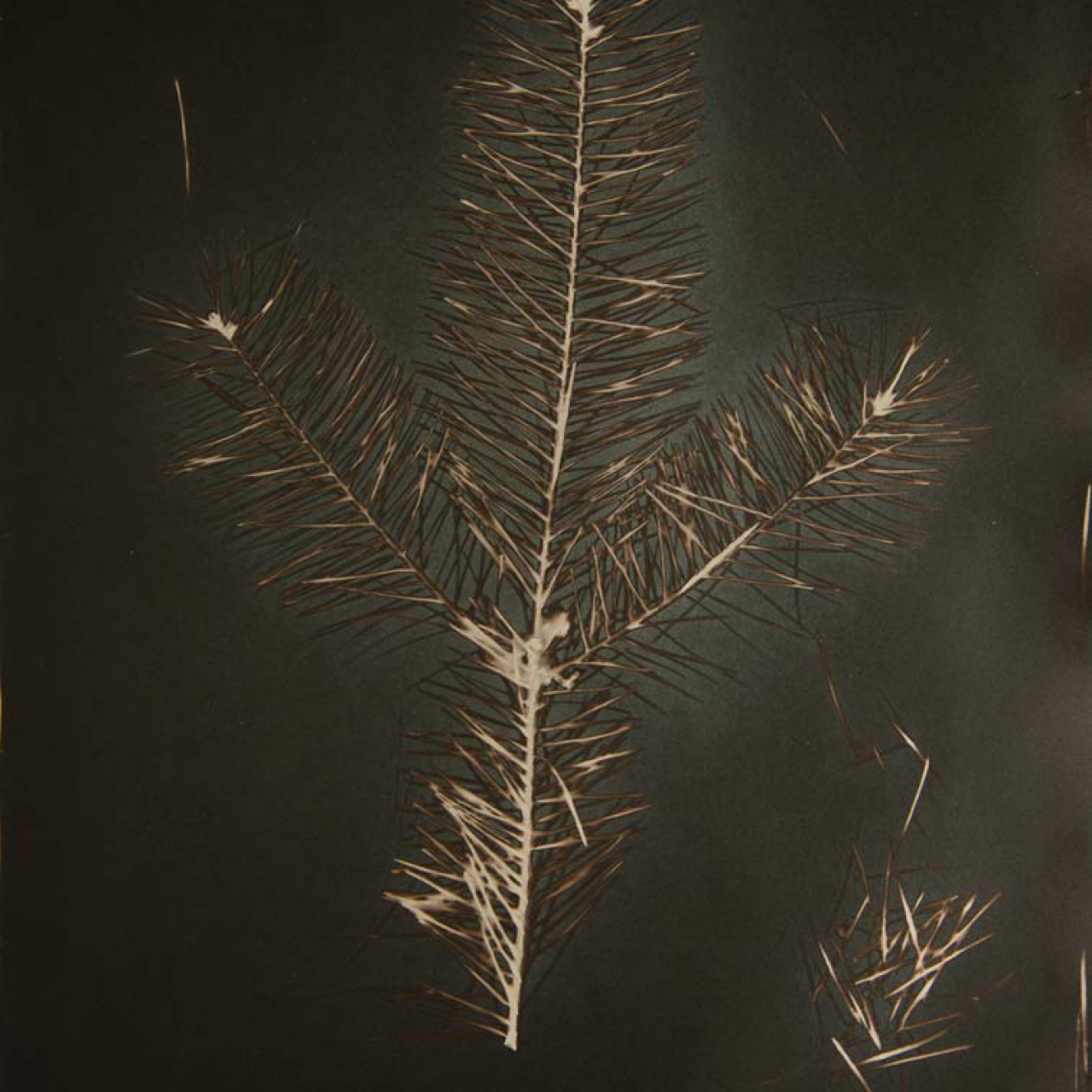 Joseph Rheaume Portfolio - The Los Angeles Center of Photography